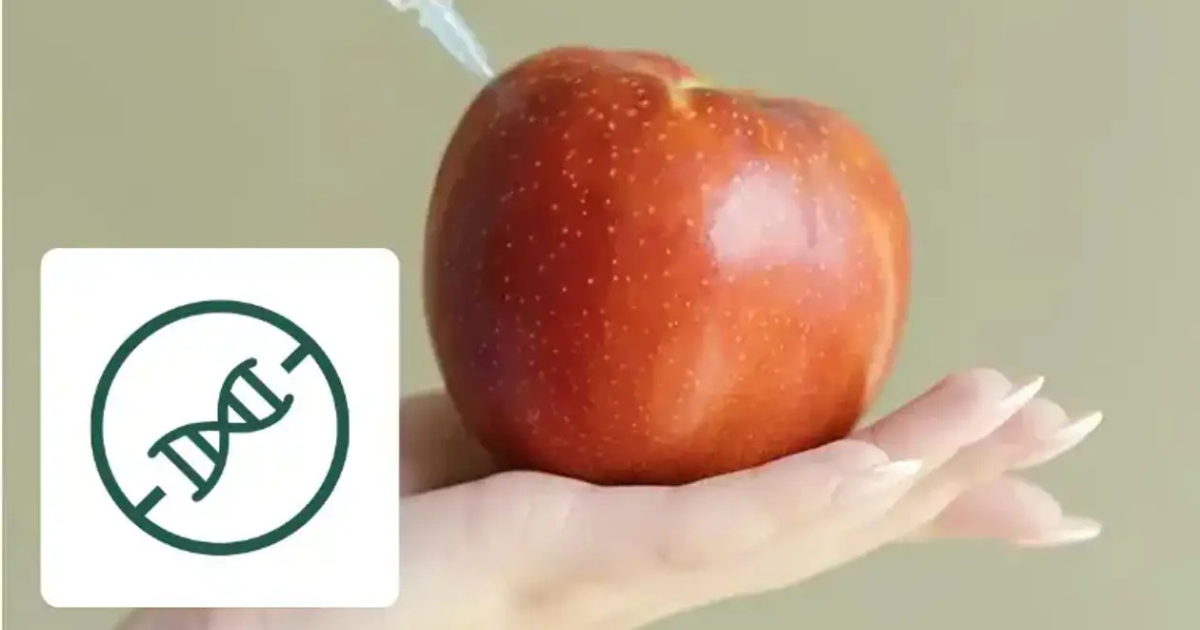 GMO-free certification | Nedstar